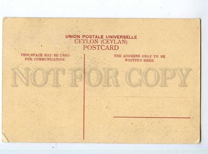 247148 CEYLON Semi-nude Rodiya Girl Vintage postcard | Topics ...