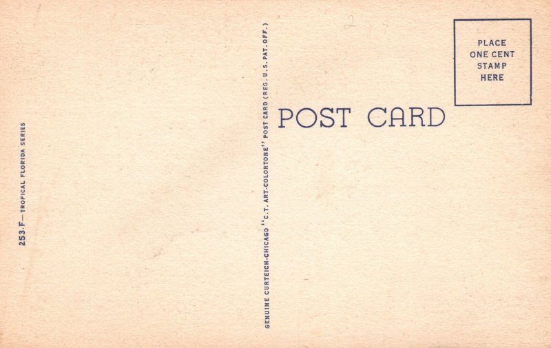 Legend Of The Spanish Moss Poem By P. M. L. Tropical Florida Vintage ...