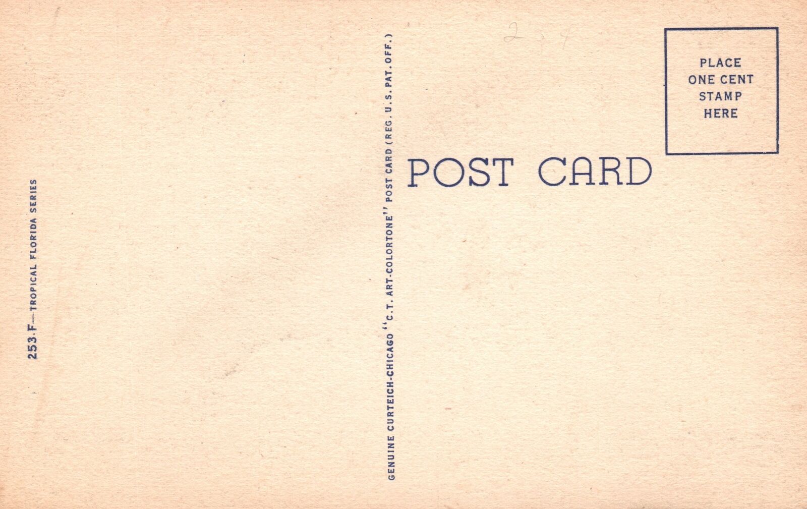 Legend Of The Spanish Moss Poem By P. M. L. Tropical Florida Vintage ...