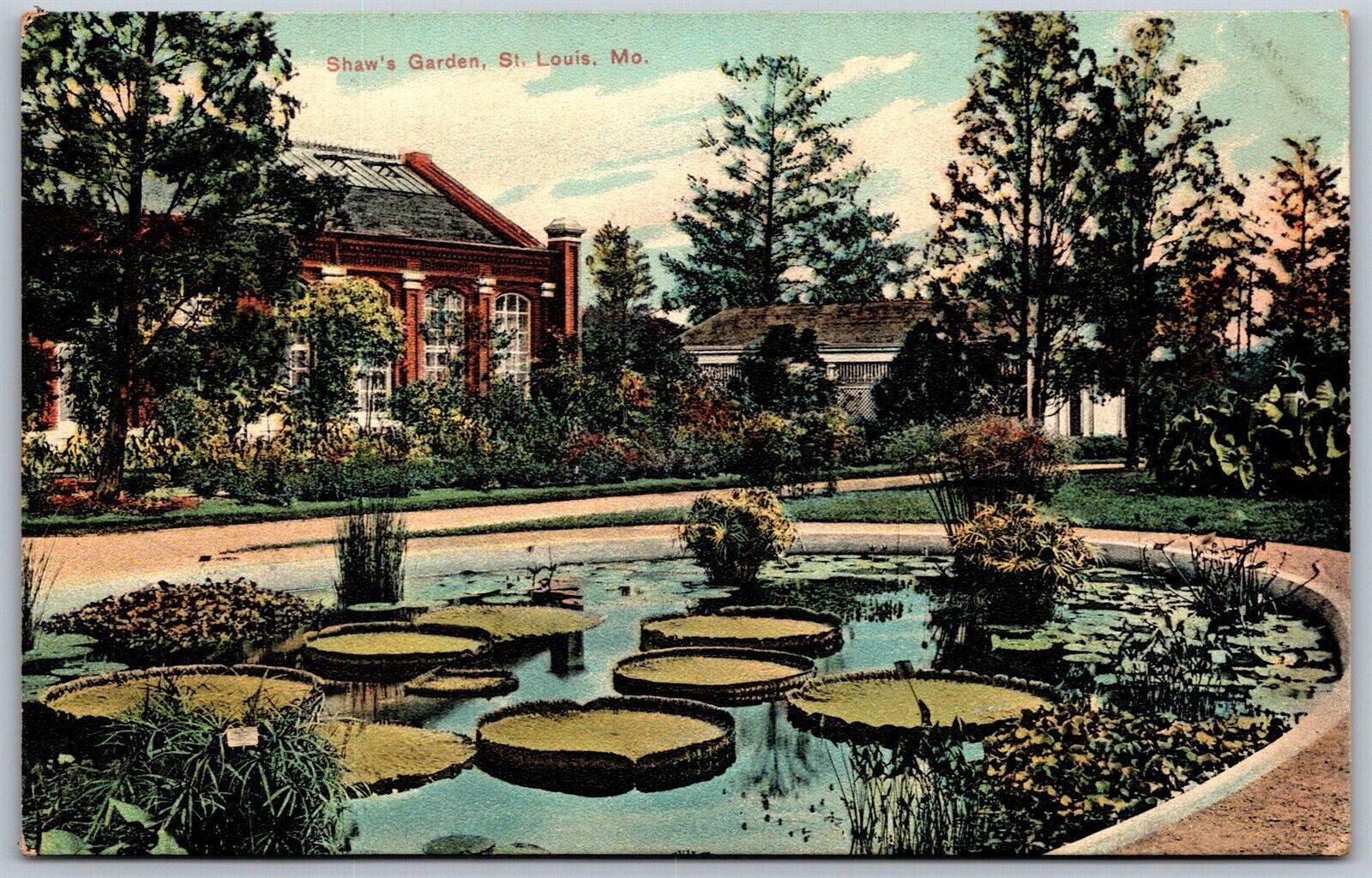 Vtg St Louis Missouri MO Shaw's Garden Lily Pad Pond 1910s View Old ...