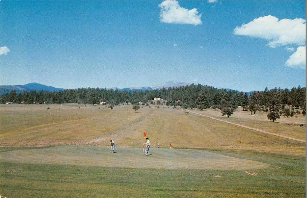 Ruidosa New Mexico Cree Meadows Golf Course Vintage Postcard J45114 ...