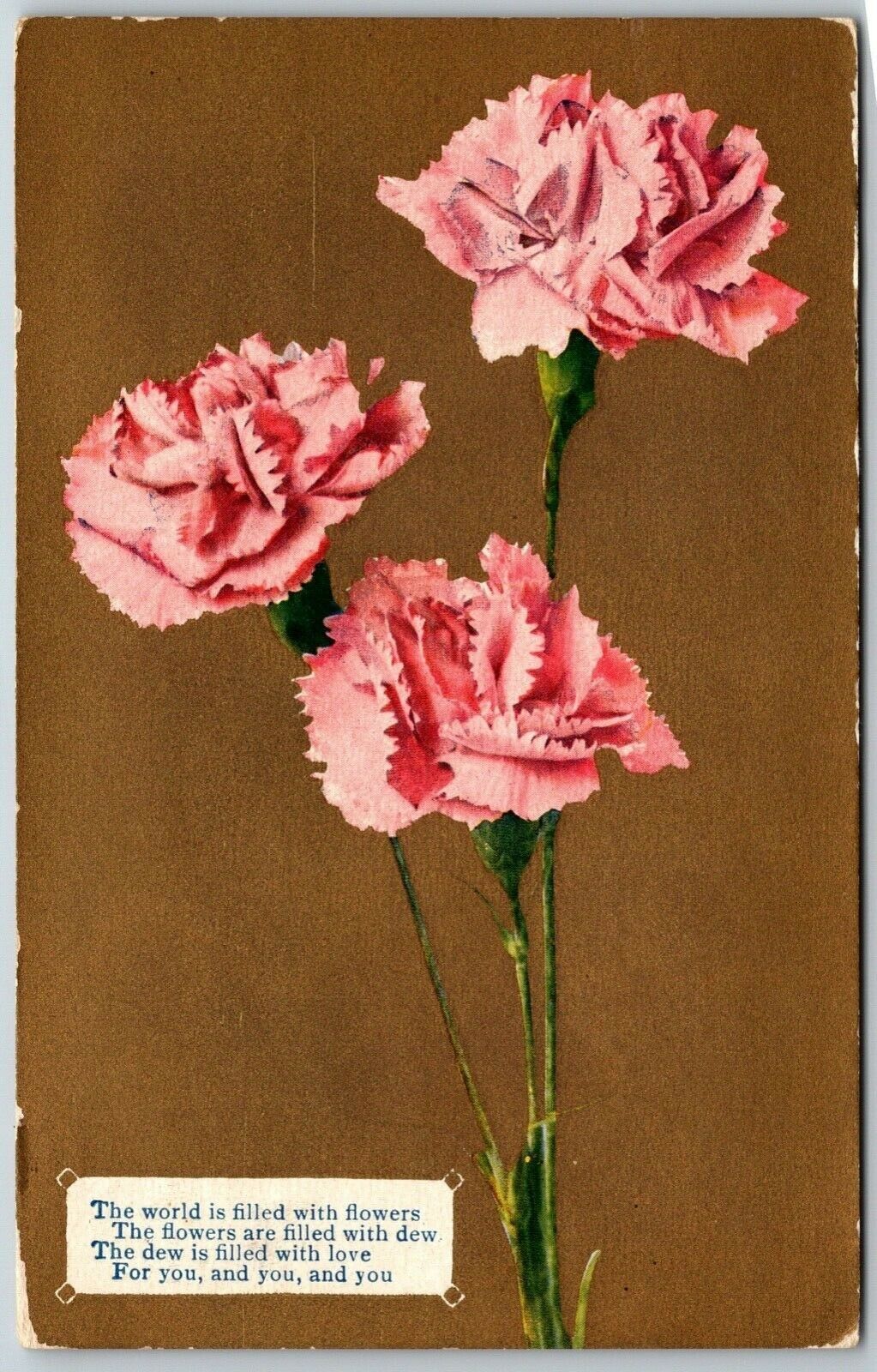Pink Carnations, Gold Background, with Poem - Postcard | Other ...