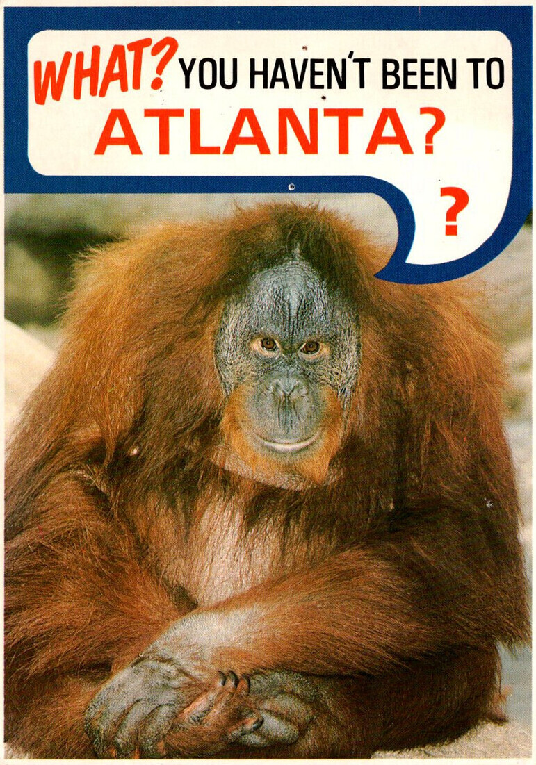 Monkey Humour Orangutan What? You Haven't Been To Atlanta 1988 | Topics ...