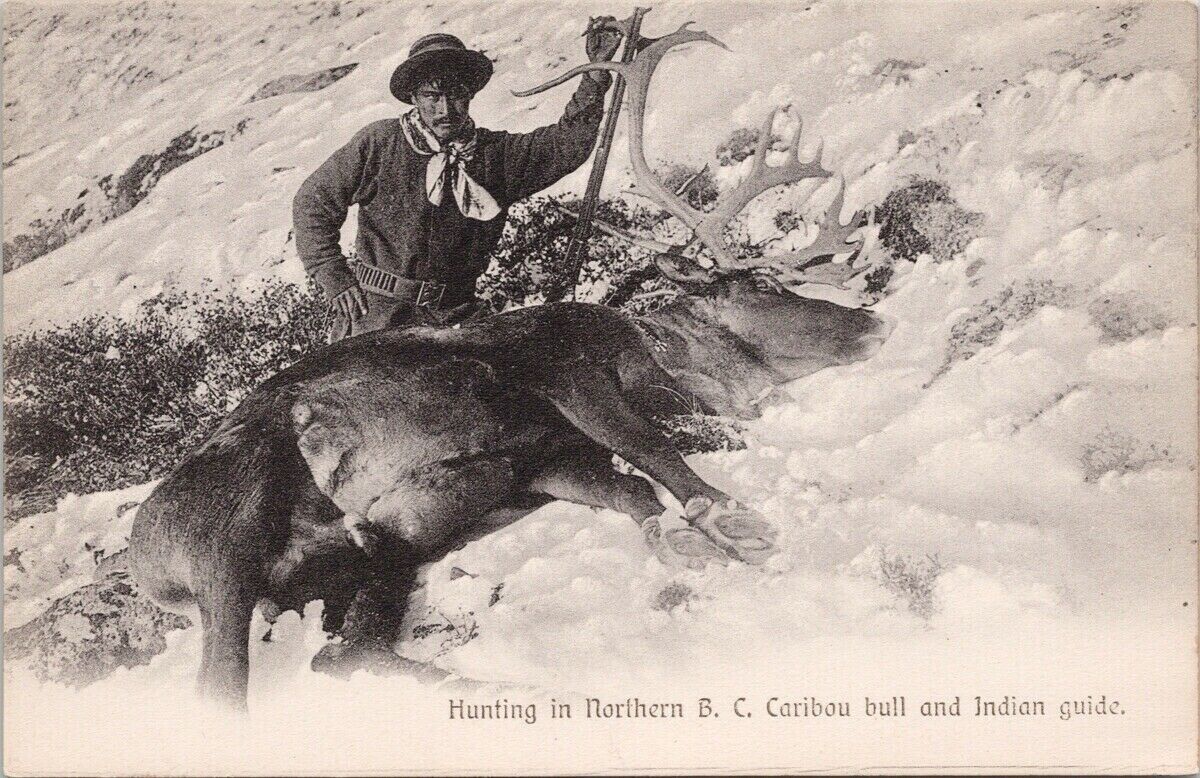 Hunting in Northern BC Caribou Bull & Indian Guide Hunter Unused ...