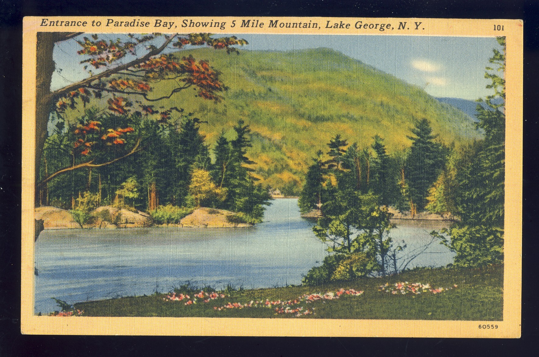 Lake George, New York/NY Postcard,Entrance To Paradise Bay, 5 Mile ...