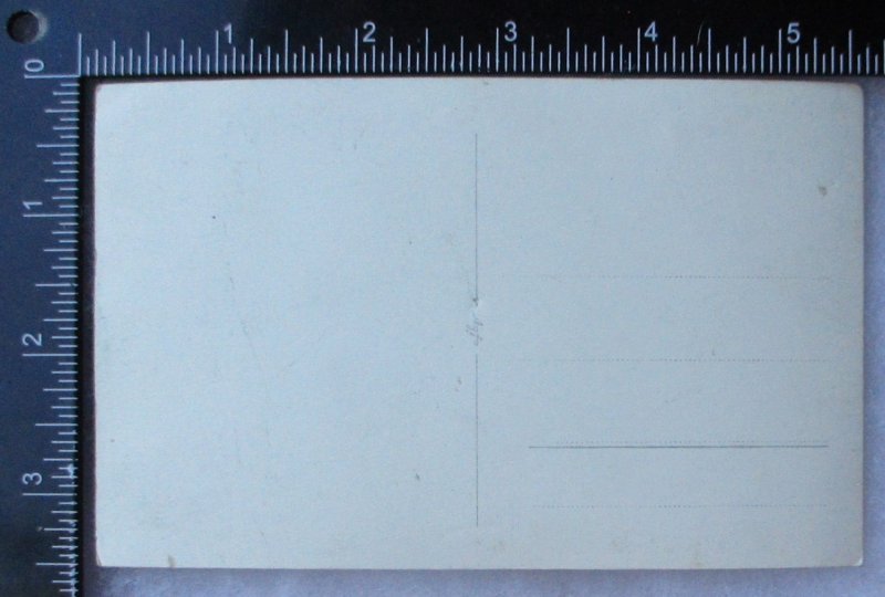 Original WW2 Vintage GERMAN PHOTO POSTCARD Hitler with SS & Political ...