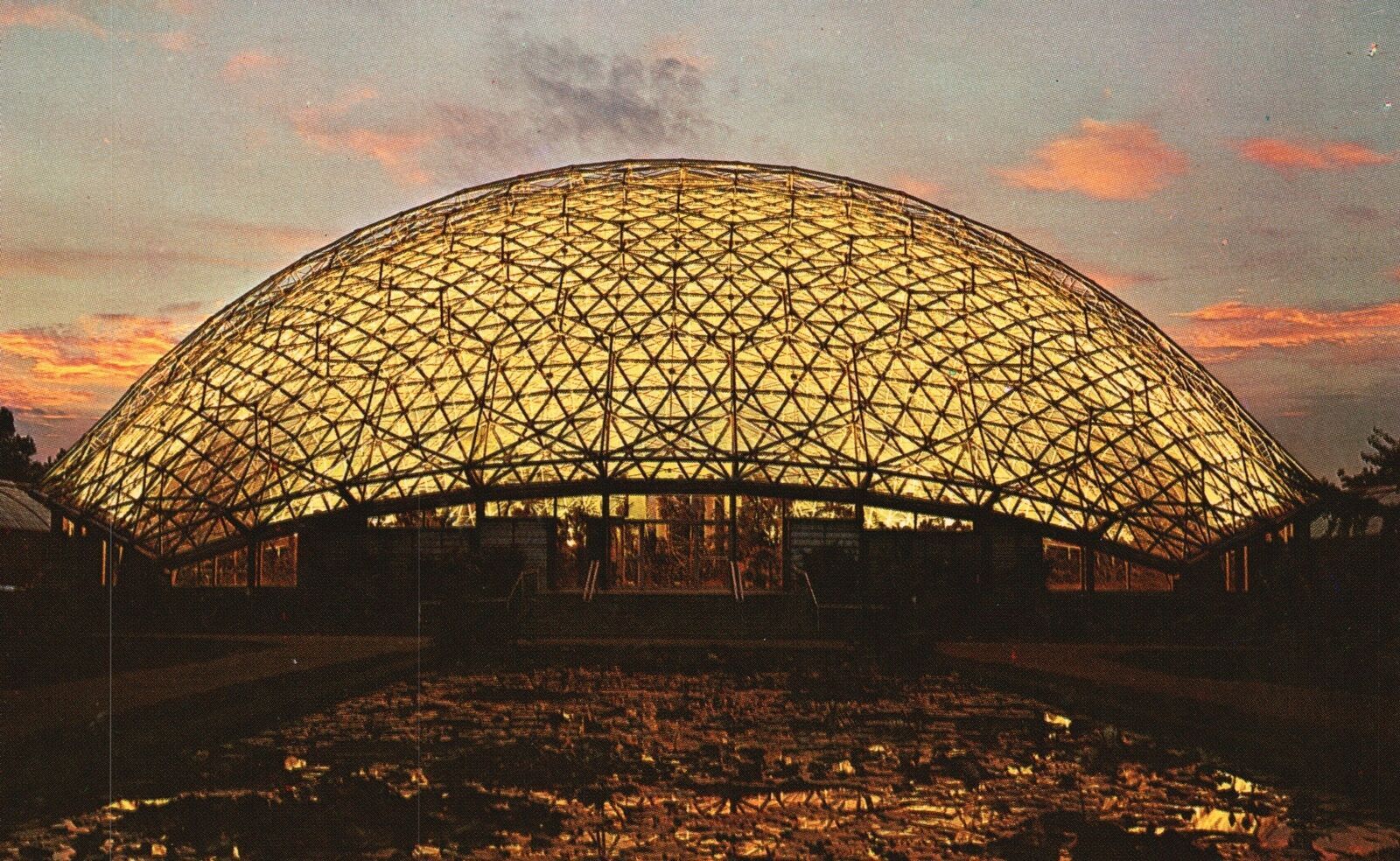 Vintage Postcard Climatron Geodesic Dome Tropical Display House St ...