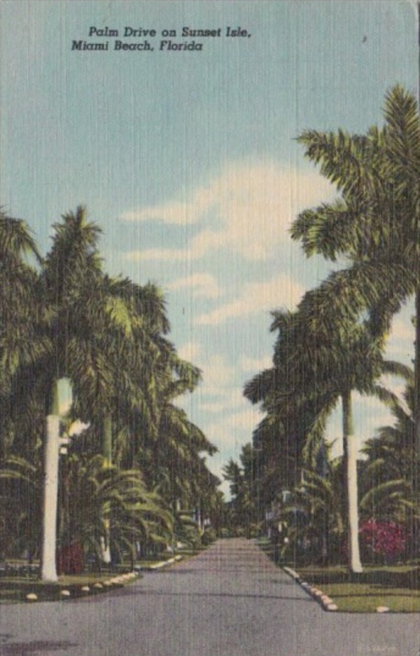 Florida Miami Beach Palm Drive On Sunset Isles 1952 | United States ...
