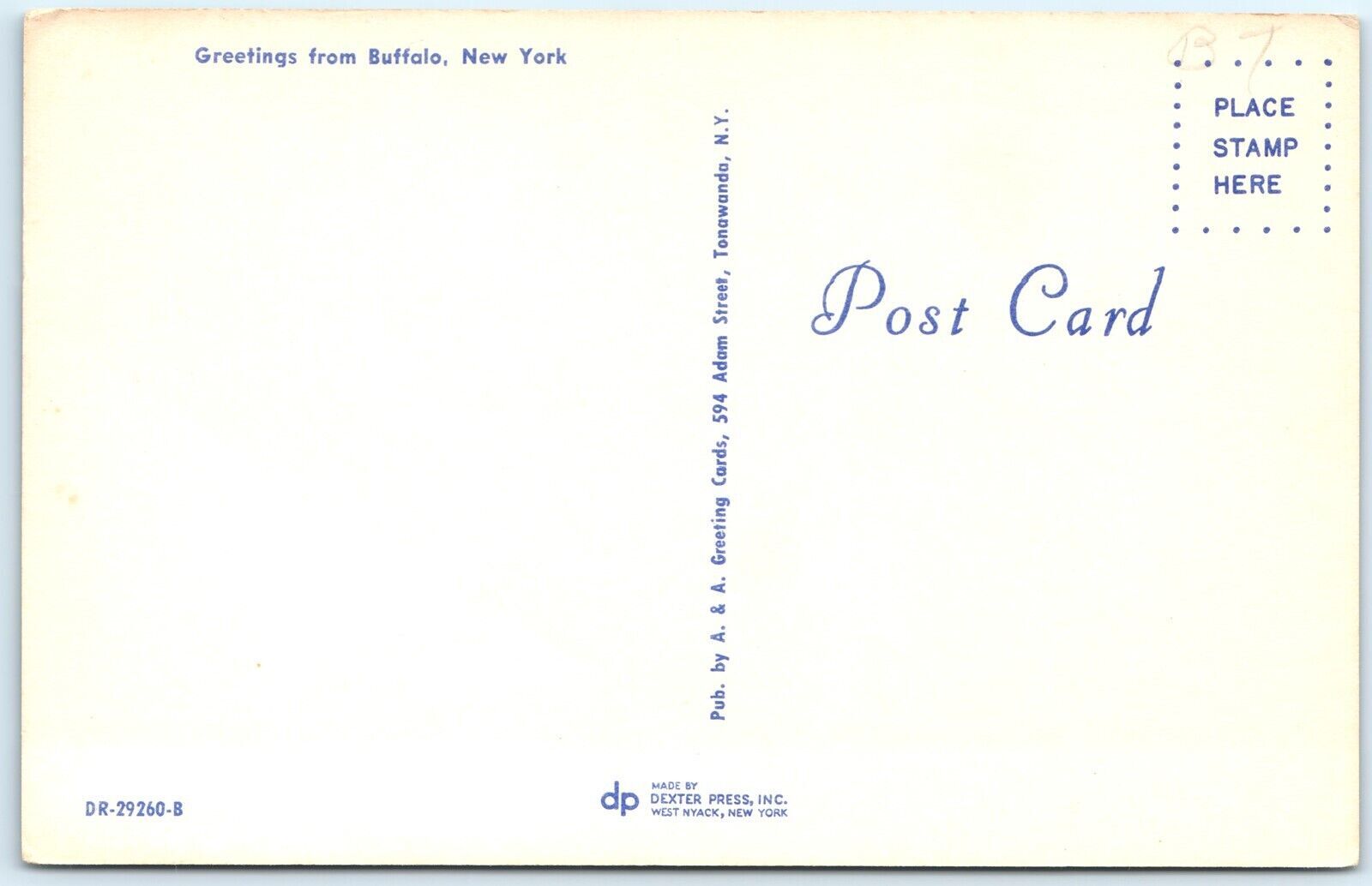 c1960s Buffalo, NY Greetings from Buffalo Bison Grazing Baby Calf ...