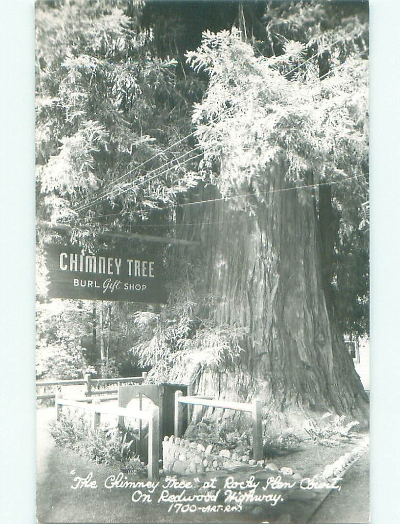 Pre-1950 rppc GIFT SHOP IN TREE Chimney Tree In Weott - Near Rio Dell ...