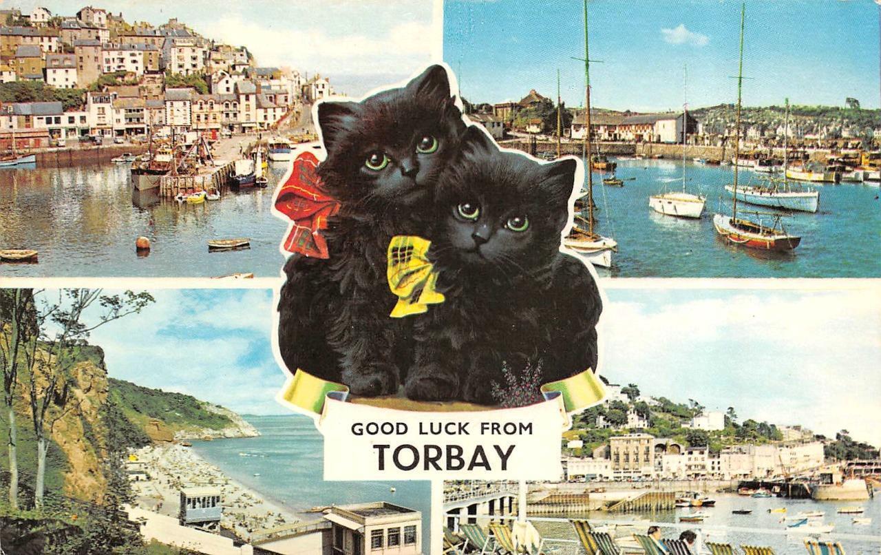 Devon, UK England GOOD LUCK FROM TORBAY Waterfront~Boats~Black Kittens ...