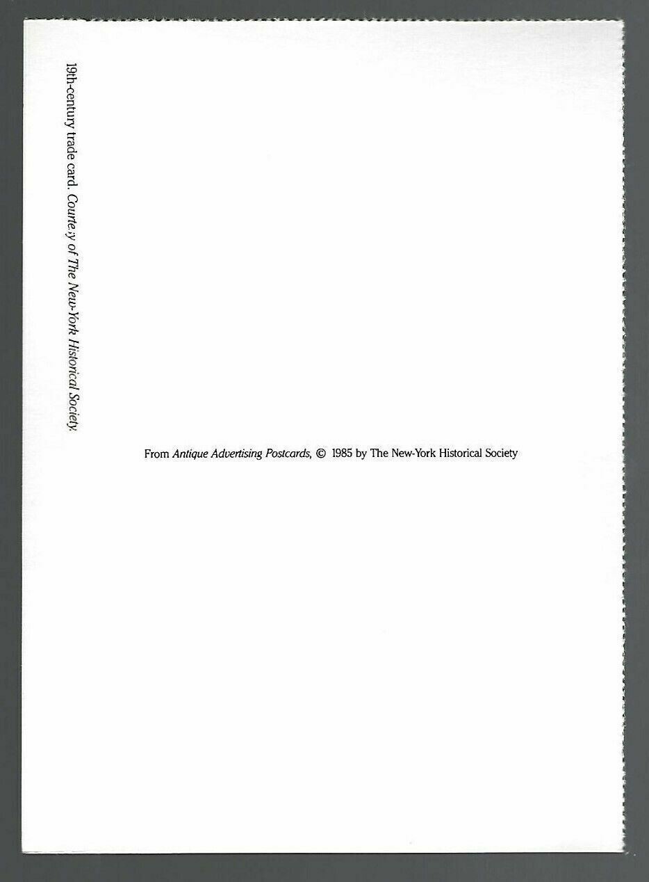 Dr Thomas Eclectric Oil Great Internal & External Remedy Elixir Kitten ...