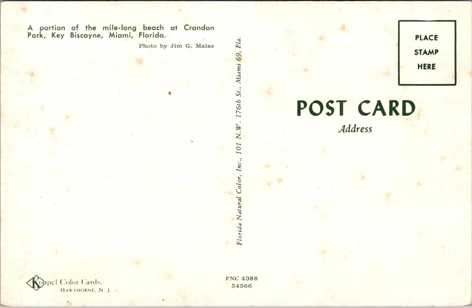 A portion of the mile-long beach at Crandon Park, Key Biscayne - Miami ...