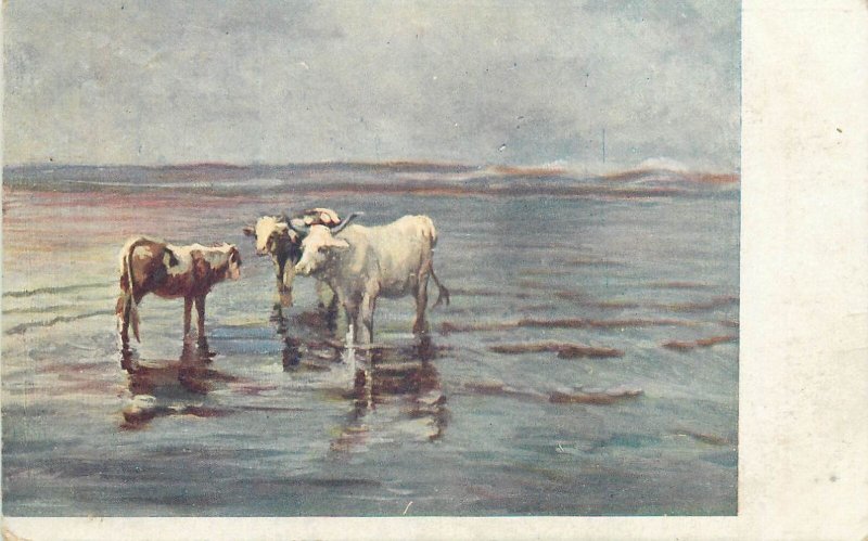 Animals in art Postcard cattle cows at Balaton Mihalik painting | Other ...