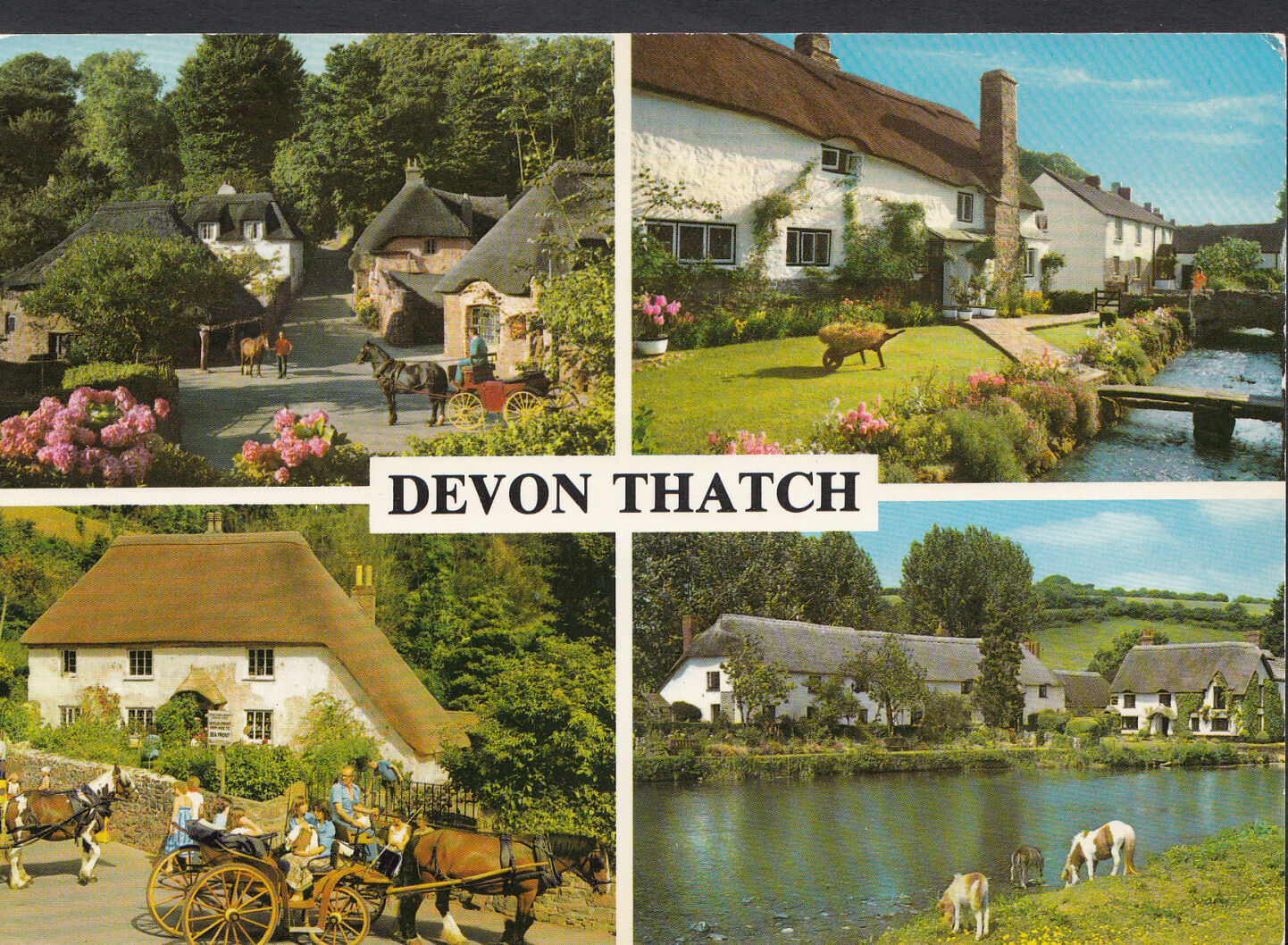 Devon Postcard - 80's Views of Devon Thatch. Posted 1985, Ref.LC4436 ...