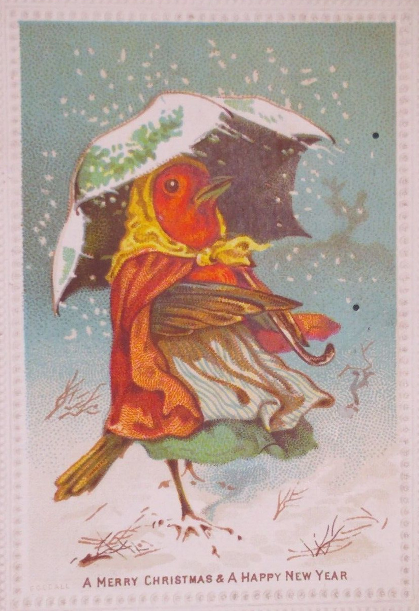 Anthropomorphic Robin Bird Umbrella Goodall Victorian Christmas New ...