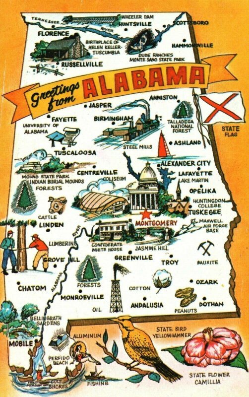 Vintage Postcard 1975 Greetings from Alabama State Flower Camillia ...