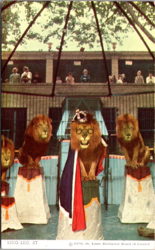 PC King Leo, Lions Sitting on Pedestals St. Louis Zoo in Saint Louis ...