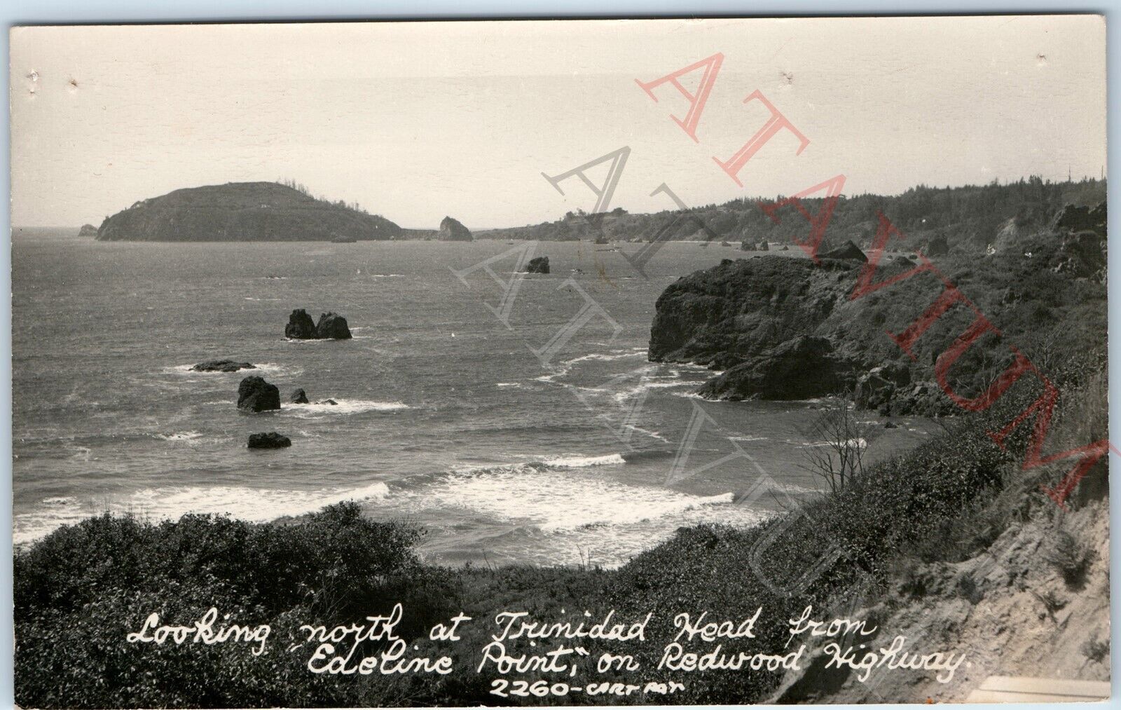 1940s California RPPC Redwood Hwy Edeline Point Trinidad Head Real ...
