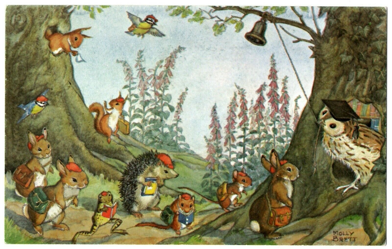 Molly Brett a/s School Time - Medici Society Anamorphic Animals ...