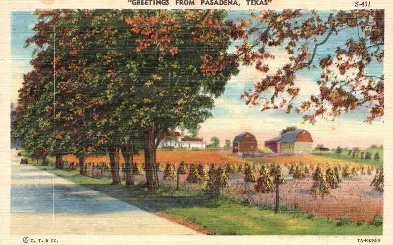 Vintage Postcard Greetings From Pasadena Texas Roads And Highways ...