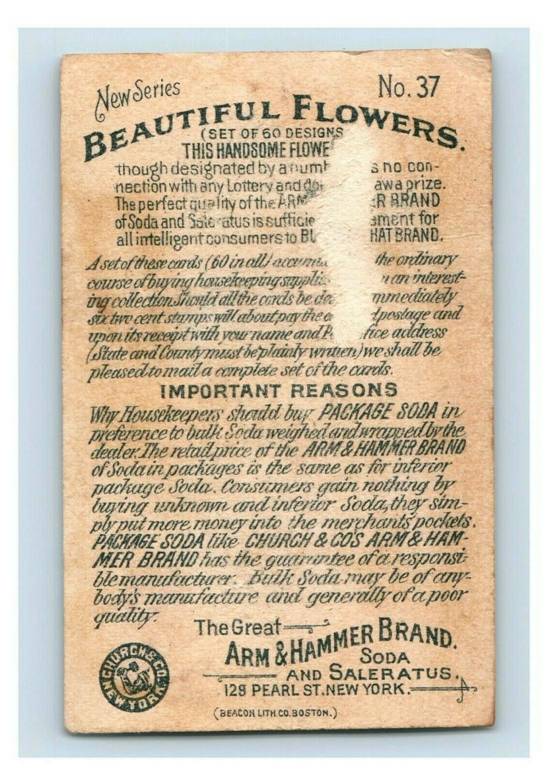 1880's Arm & Hammer Beautiful Flowers Coleus Vaves & Orange Trade Card ...