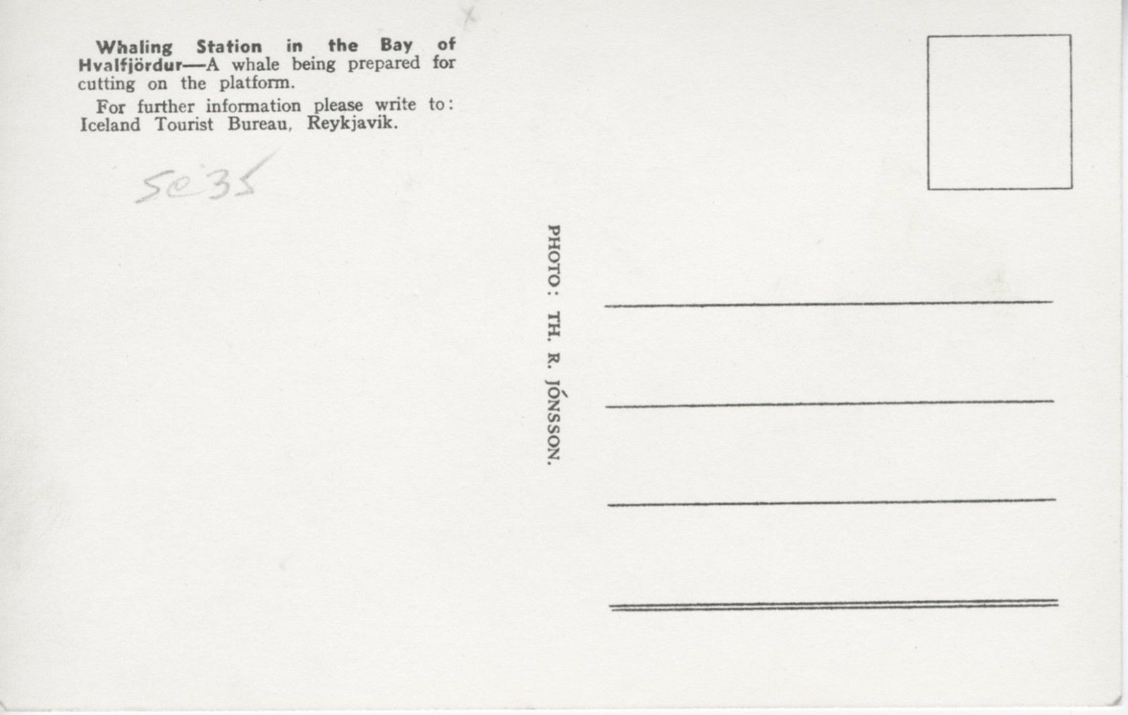 Whaling Station Bay Of Hvalfjordur Iceland Whale Whalers RPPC Postcard ...
