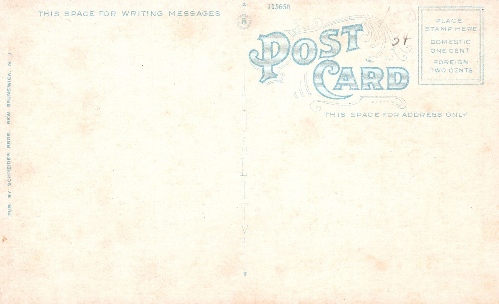 Vintage Postcard Queens Building Along Pine Trees New Brunswick New ...