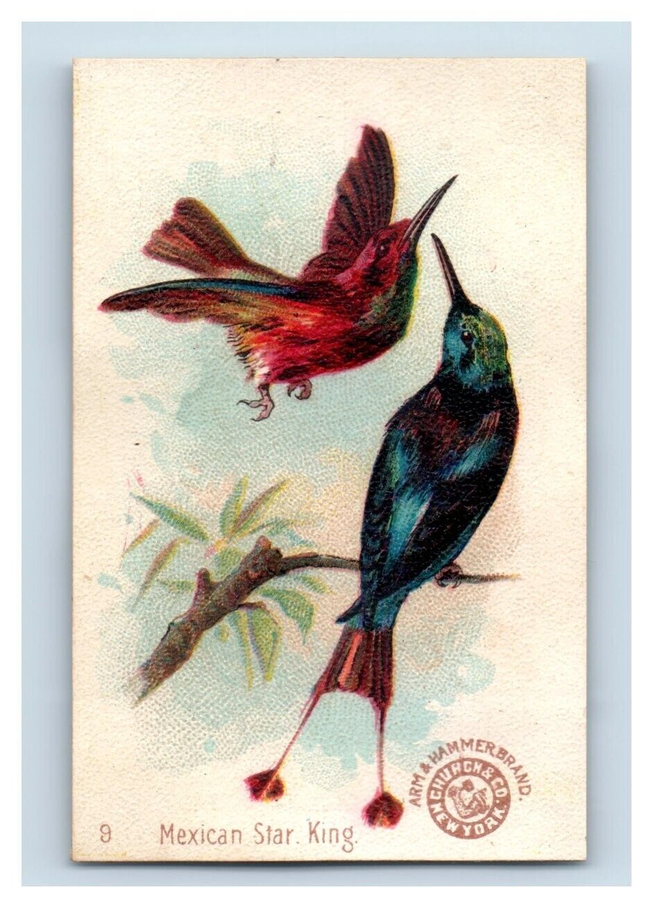 1880s-90s Arm & Hammer Beautiful Birds Mexican Star King No.09 F150 ...