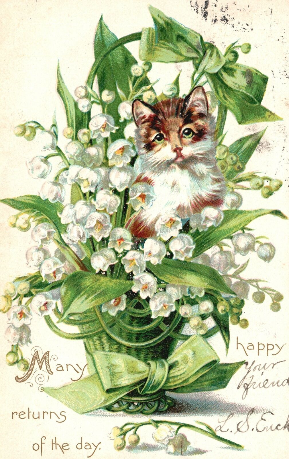 Vintage Postcard 1906 Many Happy Returns of the Day Cute Kitten in ...