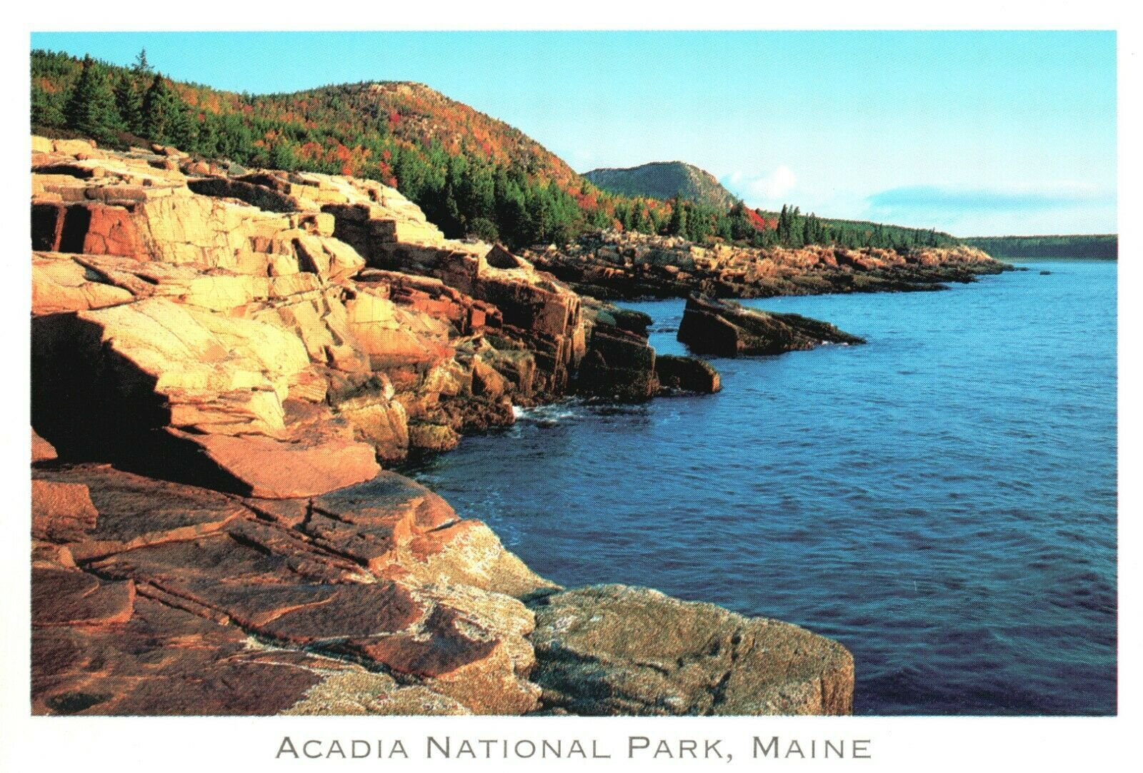 Vintage Postcard Acadia National Park Water and Shore Scene Natural ...