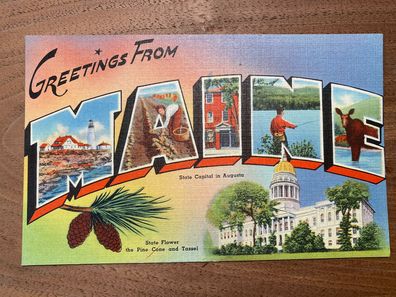 Vintage 40s GREETINGS from MAINE State Capitol Pine Cone Large Letters ...