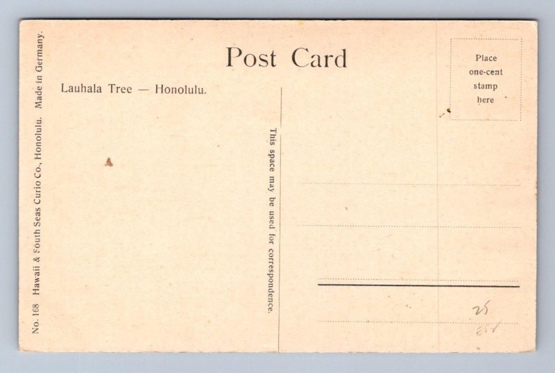 Lauhala Tree Honolulu Bridge Hawaiian Islands Hawaii Postcard (C. 1910 ...