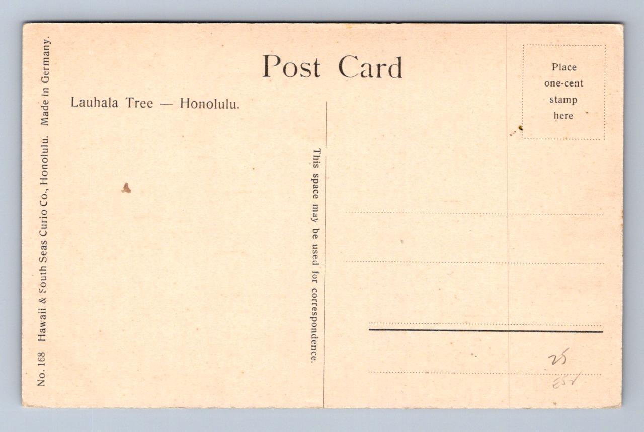 Lauhala Tree Honolulu Bridge Hawaiian Islands Hawaii Postcard (C. 1910 ...