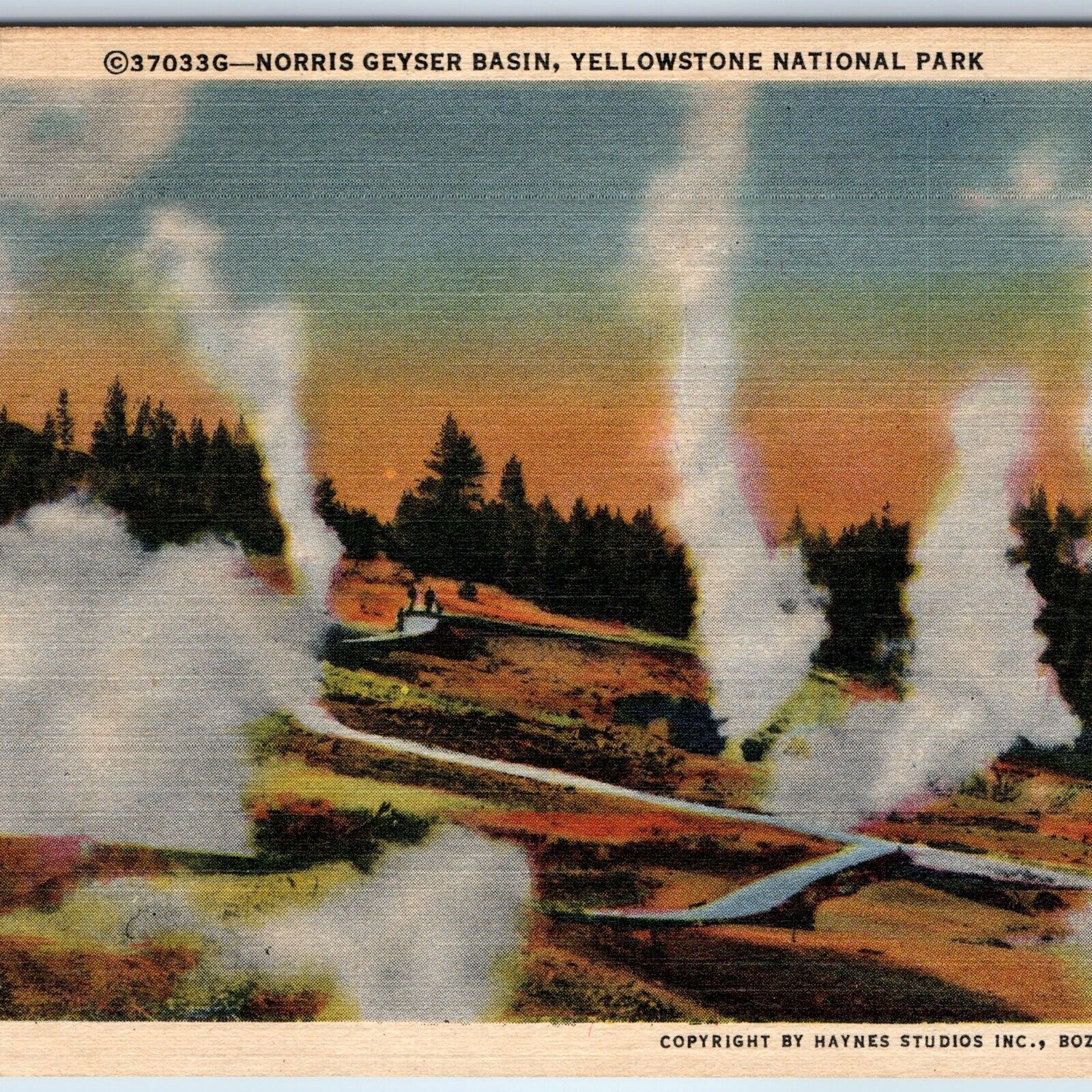 1938 Yellowstone, MT Norris Geyser Basin Haynes Studio Teich Linen ...