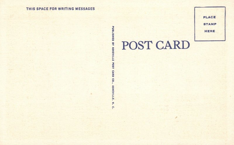 Vintage Postcard 1920's Carl Augustus Library Lenoir Rhyne College ...