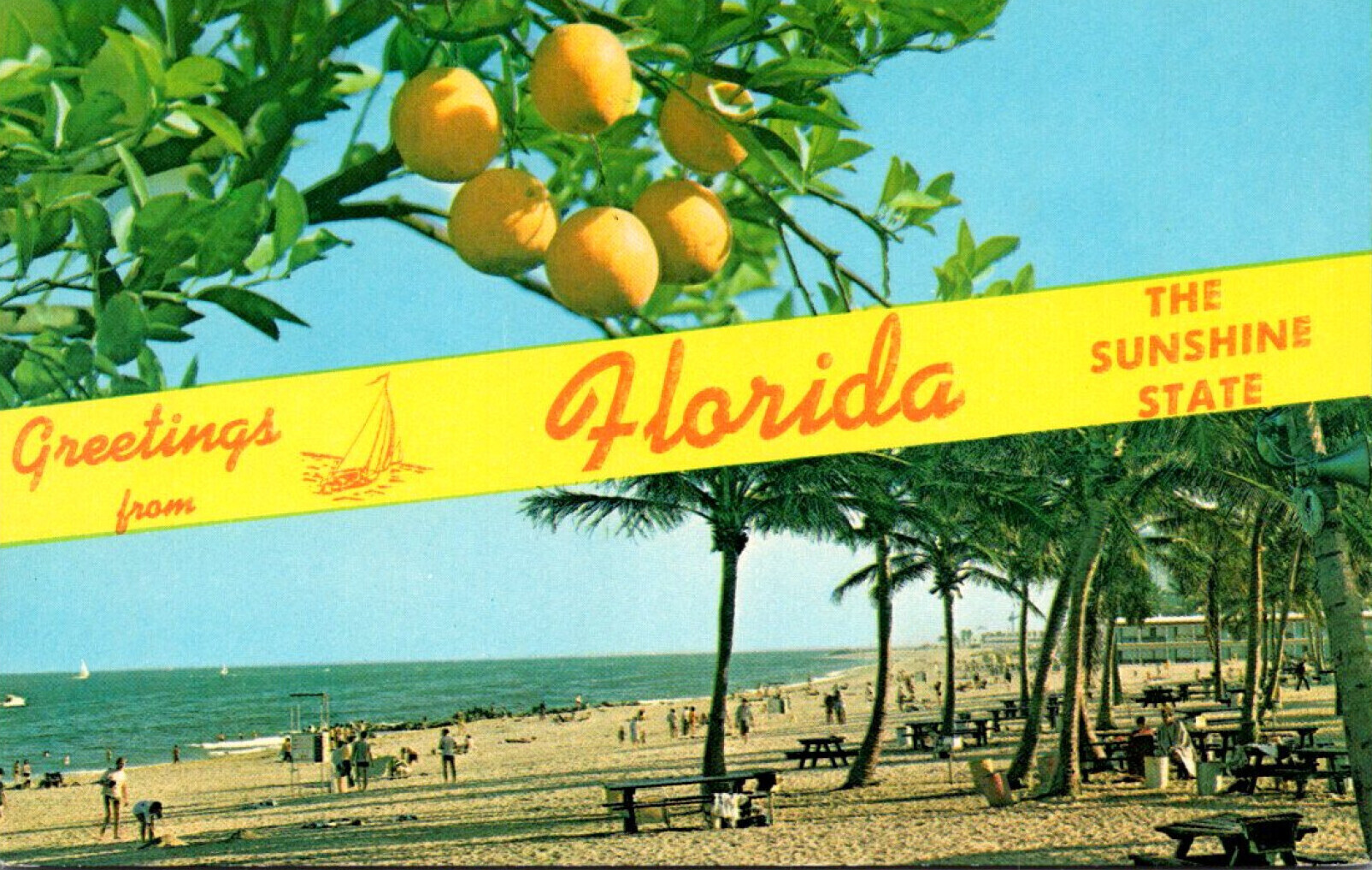 Greetings From Florida The Sunshine State Split View | Topics ...