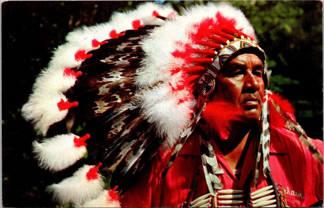 Cherokee Indian Chief Jesse J Lossie Great Smoky Mountains Park North ...