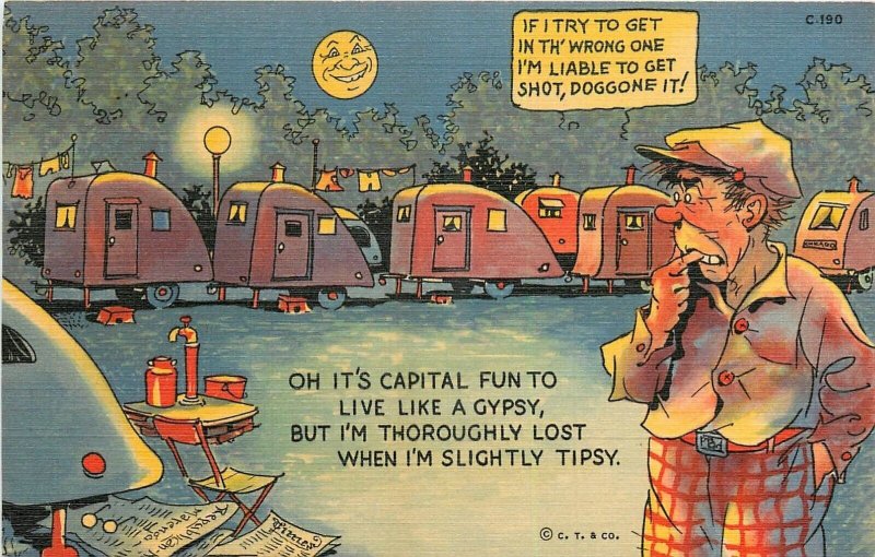1930s Ray Walters Travel trailer Comic Humor Teich night Postcard linen ...