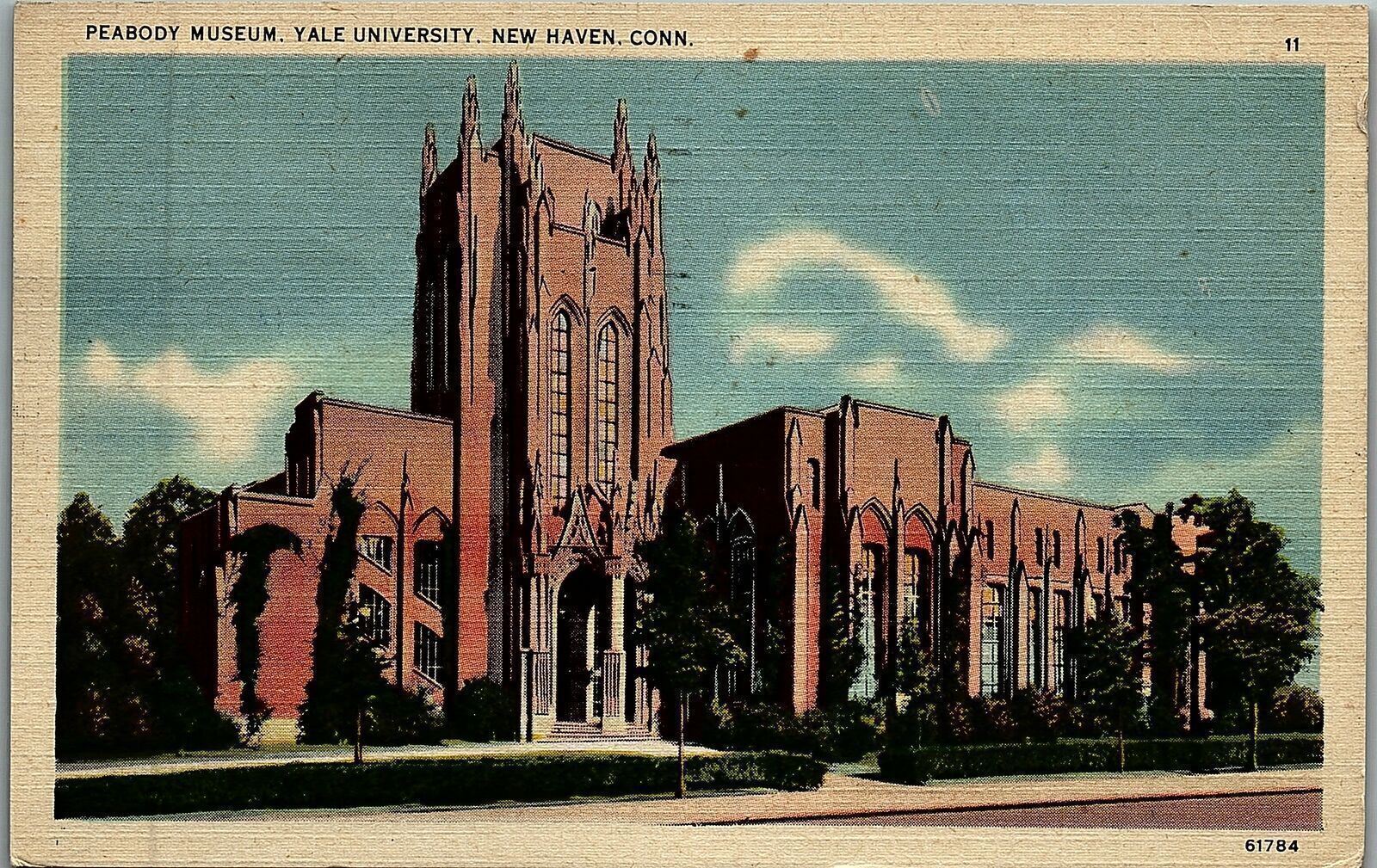 1940s Peabody Museum, Yale Univ, New Haven, Connecticut Linen Postcard ...