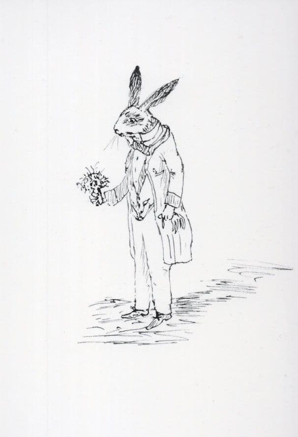 The White Rabbit Alice's Adventures In Wonderland Postcard | Topics ...