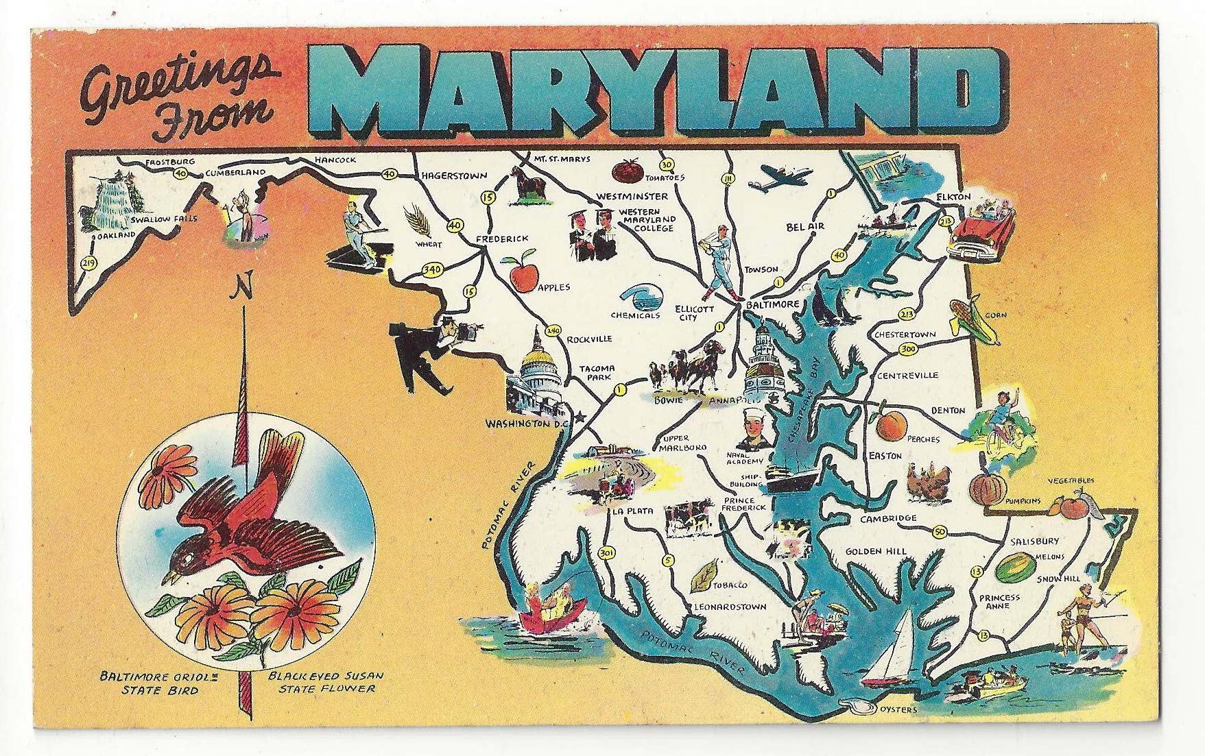 MD Maryland Map Greetings Landmarks State Bird Flower Vintage 1950s ...