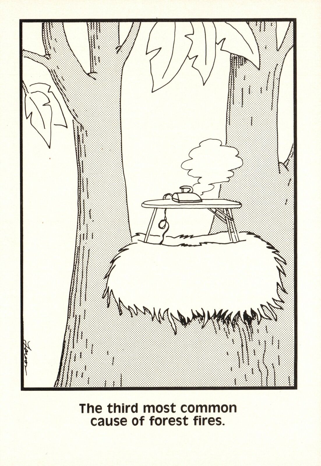 Postcard Three Most Common Cause Of Forest Fires Comic Ironing ...