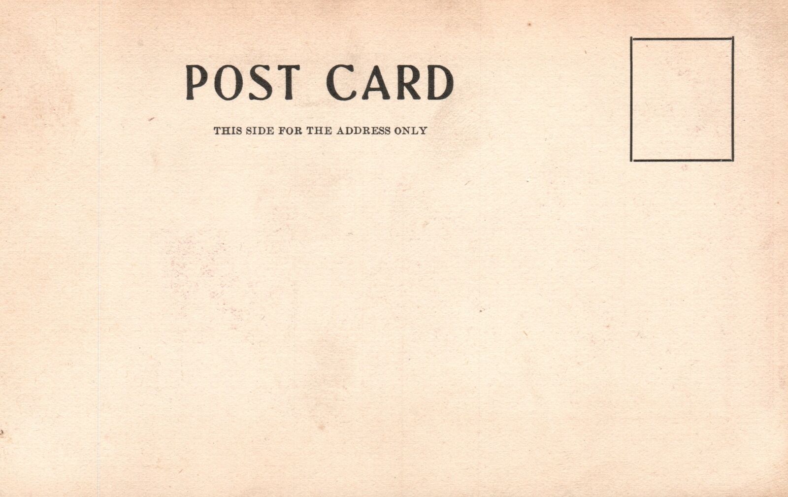 Vintage Postcard Field Columbian Museum Jackson Park Chicago Illinois ...