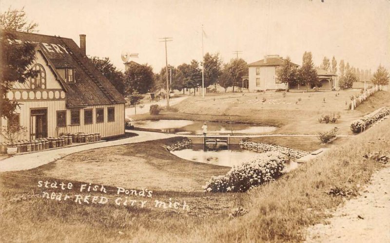 Reed City Michigan State Fish Pond's Real Photo Vintage Postcard ...