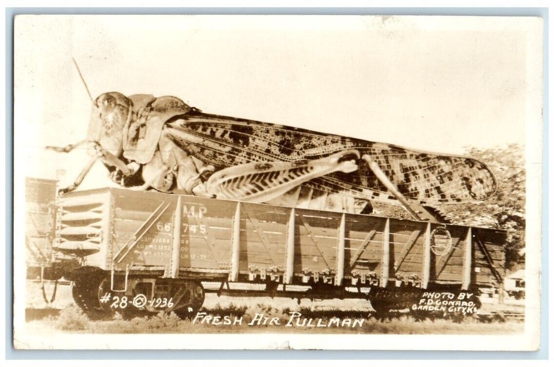 1940 F.D. Conard Exaggerated Grasshopper Fresh Air Pullman RPPC Photo ...