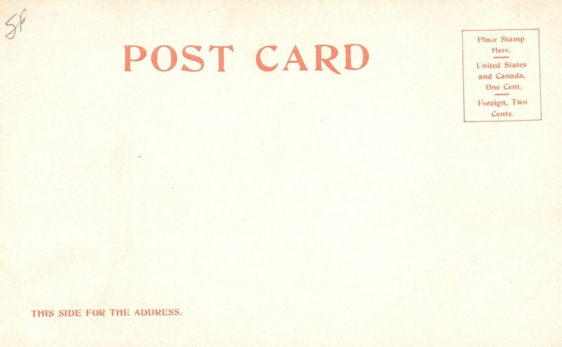 Vintage Postcard 1900's Carneige Library and City Hall Park Allegheny ... Vintage Postcard 1900's Carneige Library and City Hall Park Allegheny ...