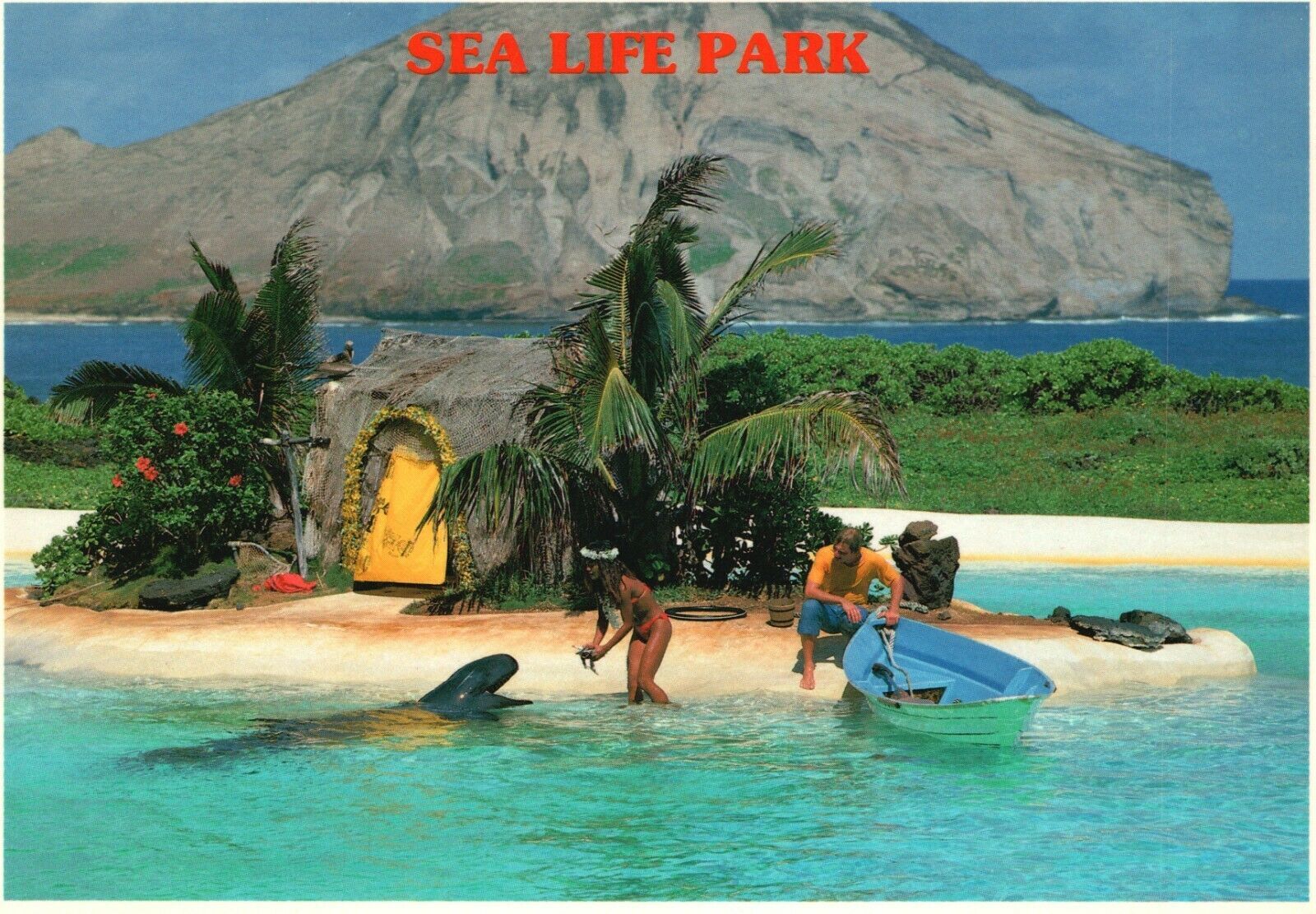 Vintage Postcard Sea Life Park Full of Ocean Life Across Makapuu Beach ...