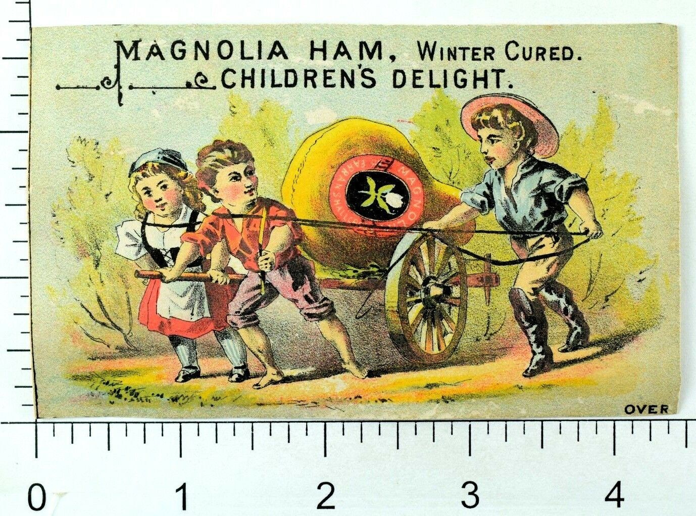 1878 Kids Pulling Giant Magnolia Ham, McFerran, Shallcross & Co Trade ...