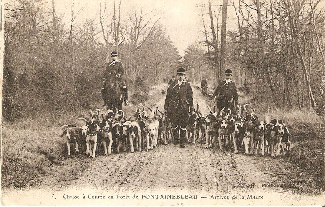 "Horse.dogs. Hunting scene in FontainebleaU Forest" Old vintage French ...